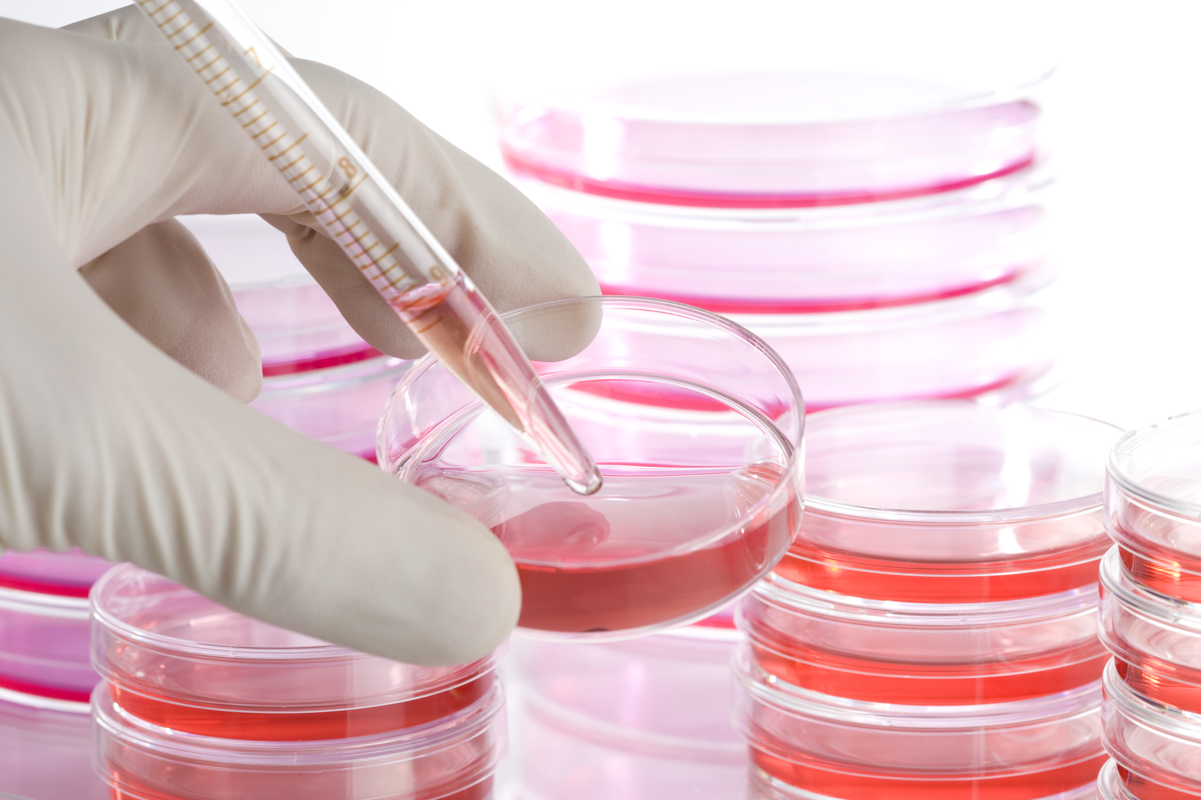 re-customized-primary-cell-culture-solutions-promocell